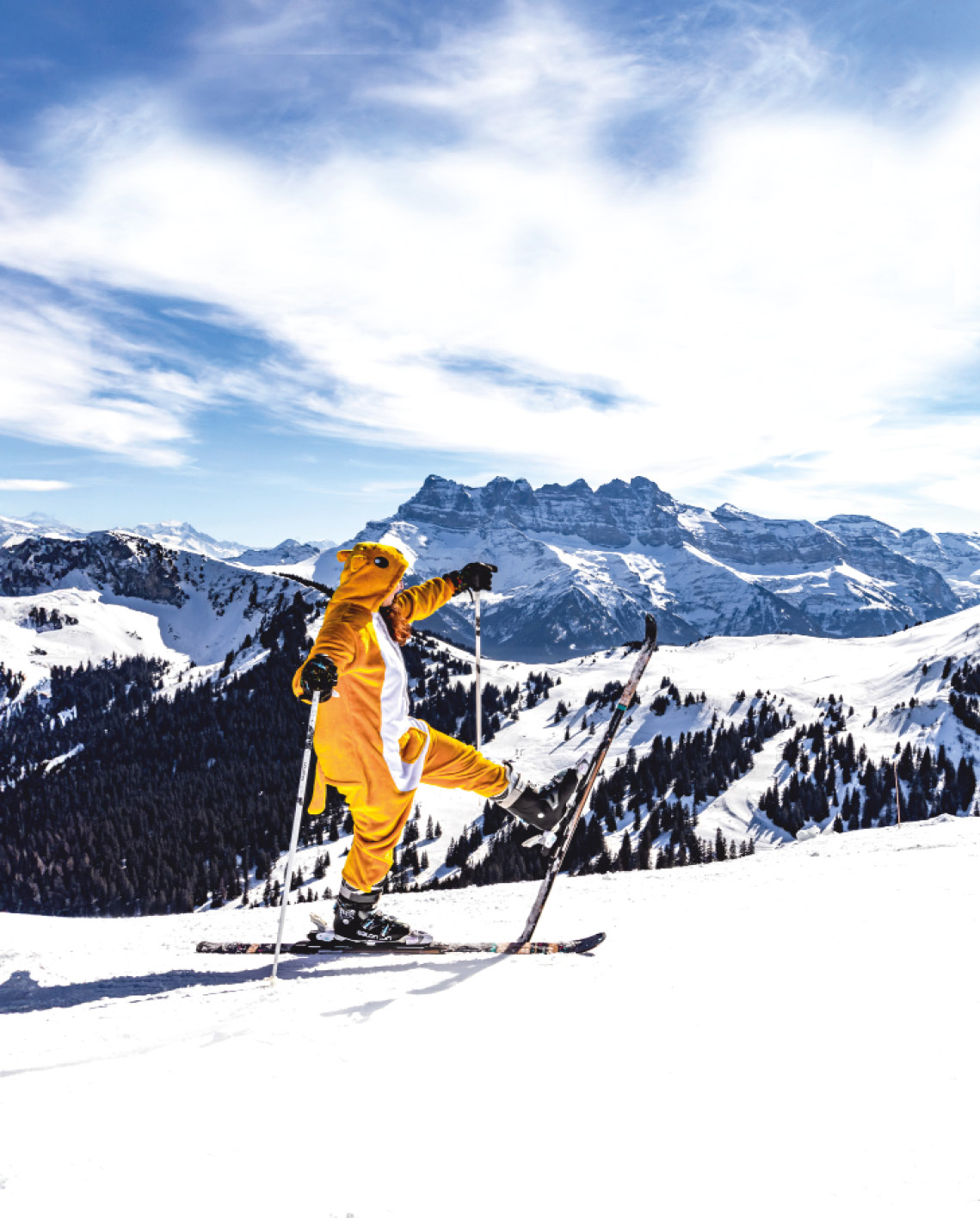 Winter ski passes - Morzine